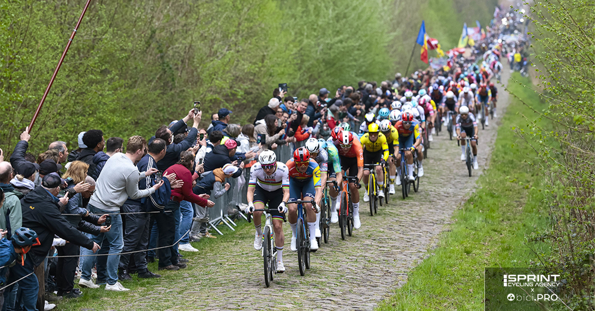Classiche di primavera, i pronostici di Turbopaolo
